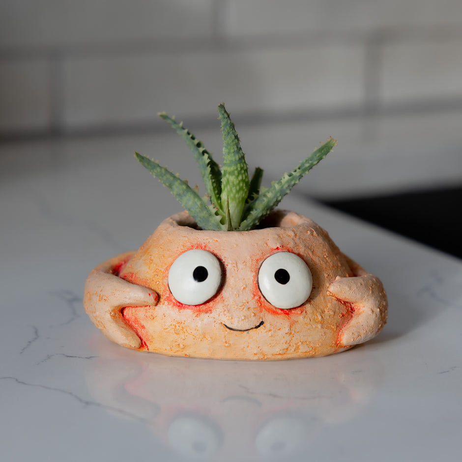 Blobhouse Planters – Page 12 – Breezy Garden Gifts